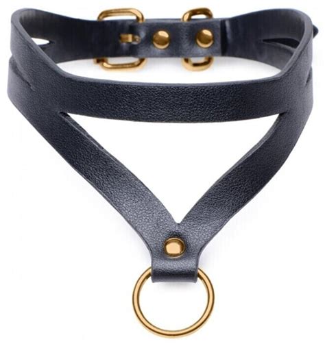 Master Series Bondage Baddie Collar W O Ring Black And Gold Ab 1875
