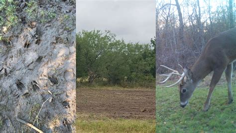 Your Fall Deer Hunting Success Starts Now