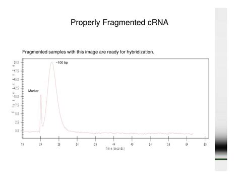 Ppt Interpretation Of Agilent 2100 Bioanalyzer Data Powerpoint Presentation Id 5194377