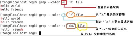 shell grep 命令详解 CTO博客 shell中grep命令详解