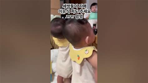 세쌍둥이 자매 이유식 저도 주세요 엉엉 세명을 키우면 한번에 못 먹임 Youtube