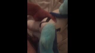 飞田新地色情片 Pornhub com