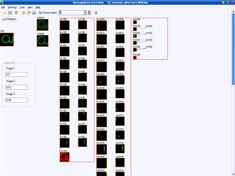 Neocognitron By Gabriel Minarik