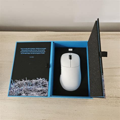 My First Venture Into Mice World Lamzu Thorn Rmousereview