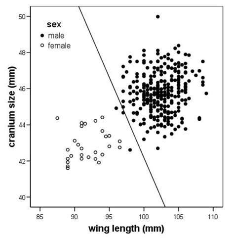 The Discriminant Function Using Wing Length And Cranium Size To Sex Download Scientific