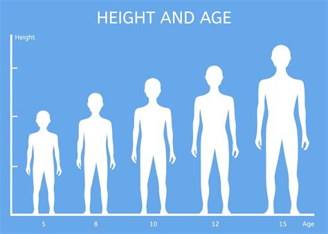 7b3 Puberty Humanbio