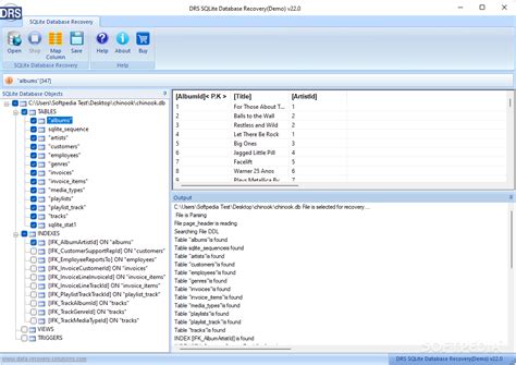 Drs Sqlite Database Recovery Download Free Windows 220 Softpedia