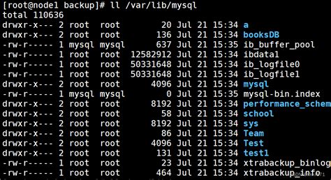 mysql数据的备份策略实例（mysqldump、mydumper、binlog） mysql8 03 mysqldump备份数据库案例 csdn博客