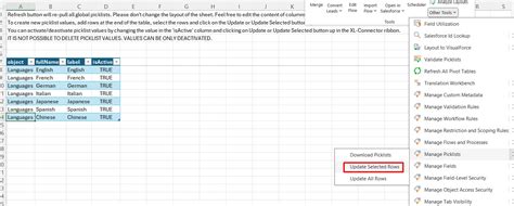 manage picklist metadata in salesforce step by step instructions xappex