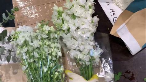 미니델피늄 화이트 생화 꽃집 꽃집창업 꽃값 온라인꽃시장 온라인꽃도매 인터넷꽃시장 인터넷꽃도매 서울꽃시장 꽃농장 꽃배송 생화배송 생화도매 생화택배 꽃배달 생화배달 생화주문