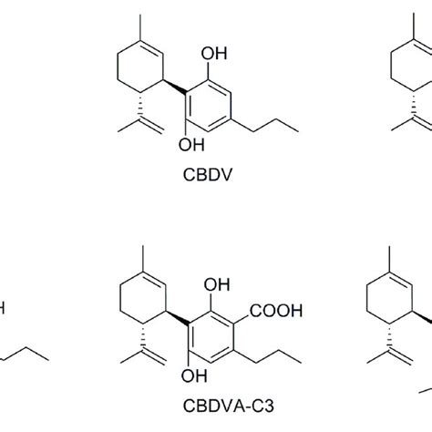 Natural Phytocannabinoid CBD Analogs Download Scientific Diagram
