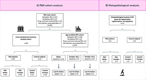 Interplay Of Sex Hormones And Long Term Right Ventricular Adaptation In A Dutch PAH Cohort The