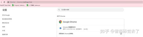 运行selenium，报错could not start a new session 知乎