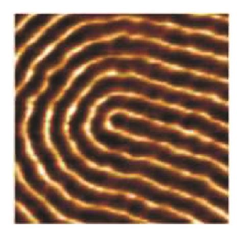 Formation Of Block Copolymer By Numerical First Row And Numerical Download Scientific Diagram