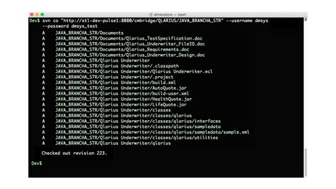 Using A Subversion Command Line Client With Dimensions Cm 14 Youtube