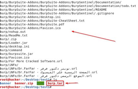 Unzip The Zip And Tar Files In Kali Linux