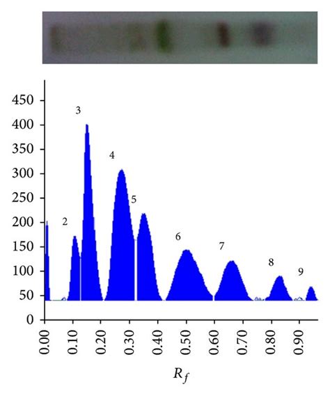 Developed Tlc Plates And Hptlc Chromatogram Hydroalcoholic Extract