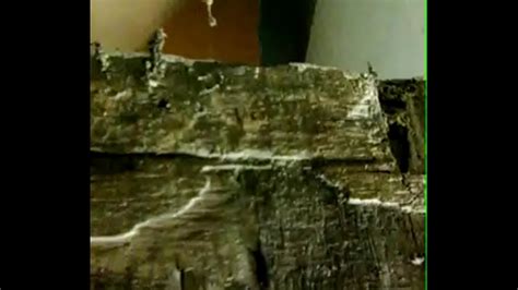 Xem Phim Quay Len Em Gai Tam Nguc To PHIMSEXVIP CC