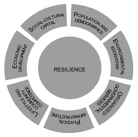Peoples Resilience Framework Dimensions Download Scientific Diagram