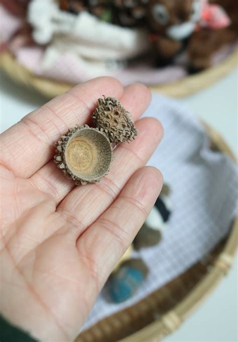 패브릭 도토리 만들기 Diy 네이버 블로그