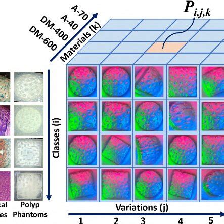 A Conceptual Three Dimensional Tensor Showing The Dimensions Of The Download Scientific Diagram