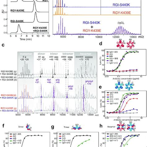 Schematic Representation Of The Complement System And Its Regulators Download Scientific