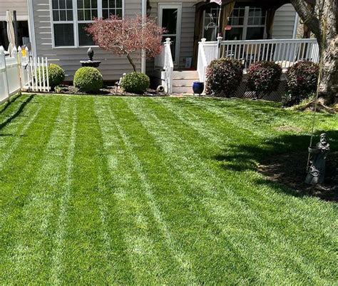 How To Grow Fescue Grass Ope Reviews