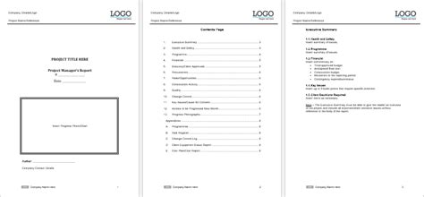 Professional Project Report Templates For Microsoft Word