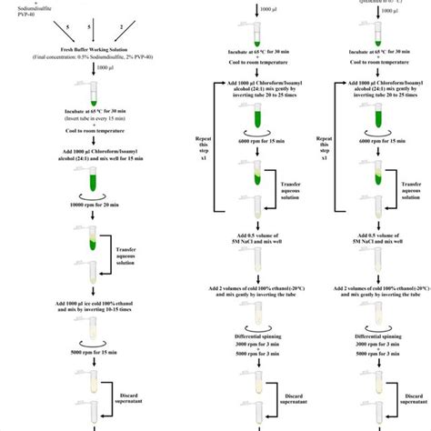 Workflow For Implemented Dna Extraction Protocols Bme Download Scientific Diagram