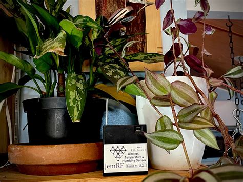 M Series Wireless Temperature And Humidity Sensor Jemrf