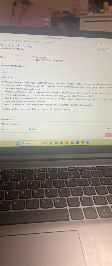 Solved ﻿module 2 ﻿lab