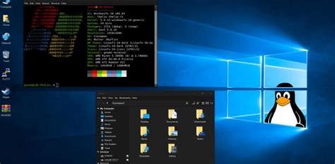 Linux Babe Quiz Trivia