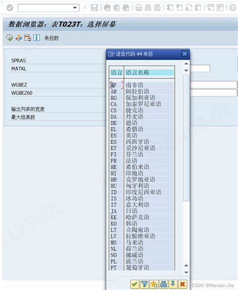 Sap F4下拉值报错：【内部错误：表格格式】sap内部错误表格格式 Csdn博客
