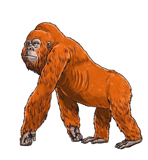 Gigantopithecus The Giant Extinct Orangutan A Z Animals