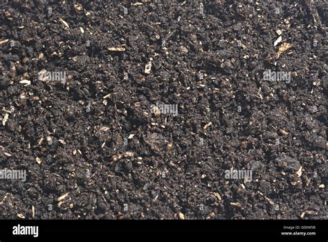 Bad Soil Hi Res Stock Photography And Images Alamy