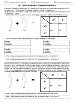 Sex Determination And Disorders In Genetics Biology Worksheet TPT