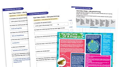 Year 5 Non Fiction Reading Comprehension Worksheets With Key Stage 2 Content Domain Coverage