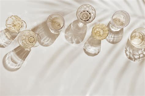 다른 와인 잔에 담긴 화이트 스파클링 와인 밝은 베이지색 배경에 태양 그림자 야자수 잎이 있는 줄기 유리 화이트 와인 시음 컨셉 플랫 레이 복사 공간 여름 음료 화이트