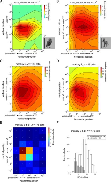 RFs Of The Body Patch Neurons A Interpolated RF Map Of An Example Download Scientific