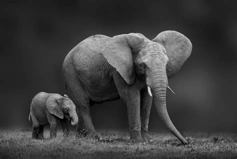 How To Avoid A Mutating Table Error In PostgreSQL For Consistent Data Integrity