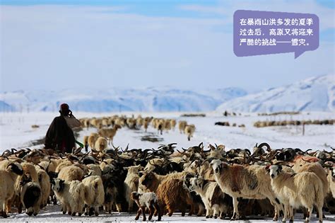 帮困救助 青海省年保玉则慈善基金会