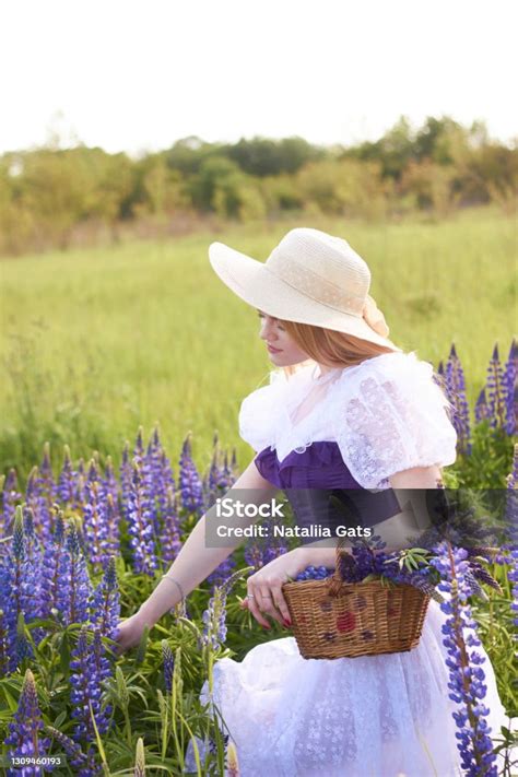 흰색 드레스를 입은 부드러운 젊은 긴 머리 소녀 보라색 코르셋 보라색 들판 사이에 밀짚 모자가 루핀이 달린 바구니를 들고 있습니다 자연과 로맨스의 개념 결혼식에 대한 스톡
