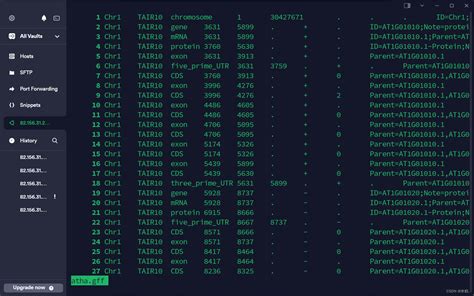 Linux生物信息学常用基本命令
