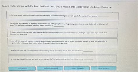 Solved Match Each Example With The Term That Best Describes