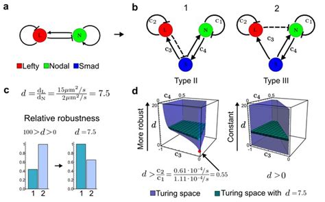 Figures And Data In High Throughput Mathematical Analysis Identifies Turing Networks For