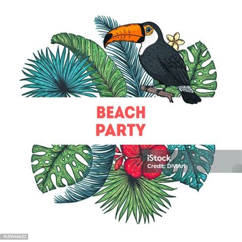 열대 디자인 템플릿 Toucan과 Palm은 벡터 일러스트레이션을 남깁니다 여름 디자인 0명에 대한 스톡 벡터 아트 및 기타