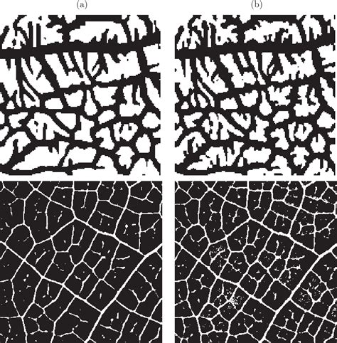 Figure 1 From Wavelet Frame Based Multiphase Image Segmentation Semantic Scholar
