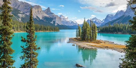 De Beste Tours En Excursies In Jasper National Park Van 2025 Gratis Annuleren Getyourguide
