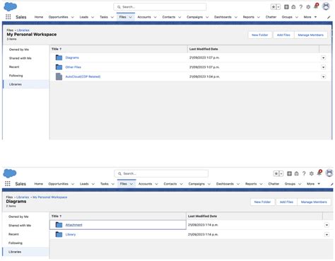 Salesforce Library Migration Process Apex Hours