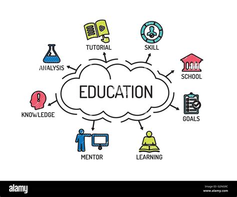 Education Chart With Keywords And Icons Sketch Stock Vector Image